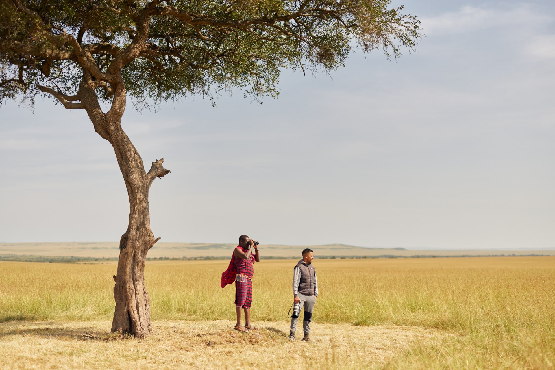Following the Signs in the Masai Mara: the Creation of Ishara - Ishara ...