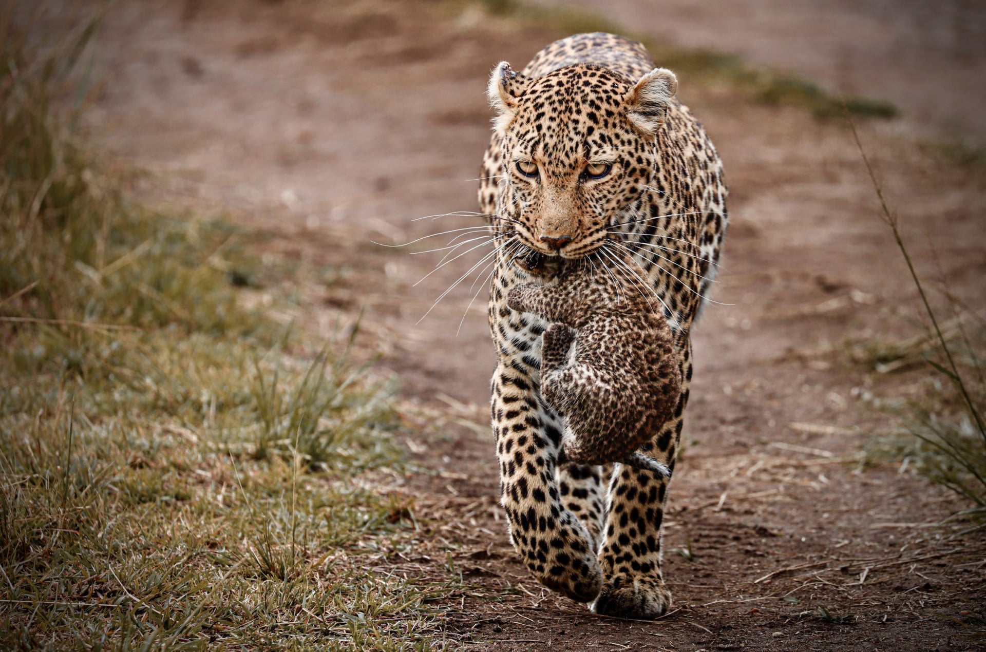 Storytelling and Photography at Ishara - Ishara – A luxury tented camp ...